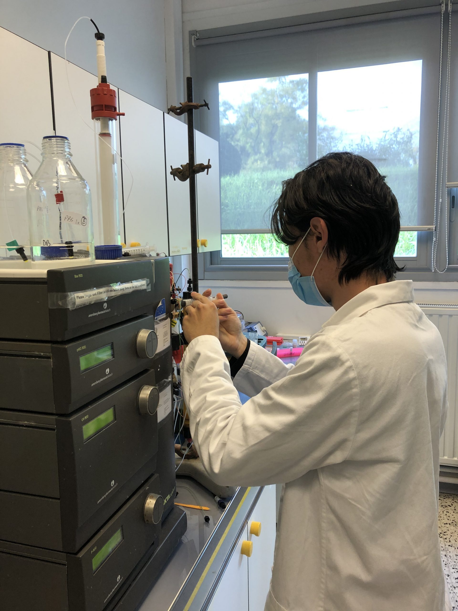 Proteins Extraction & Purification – Plinius Cursus