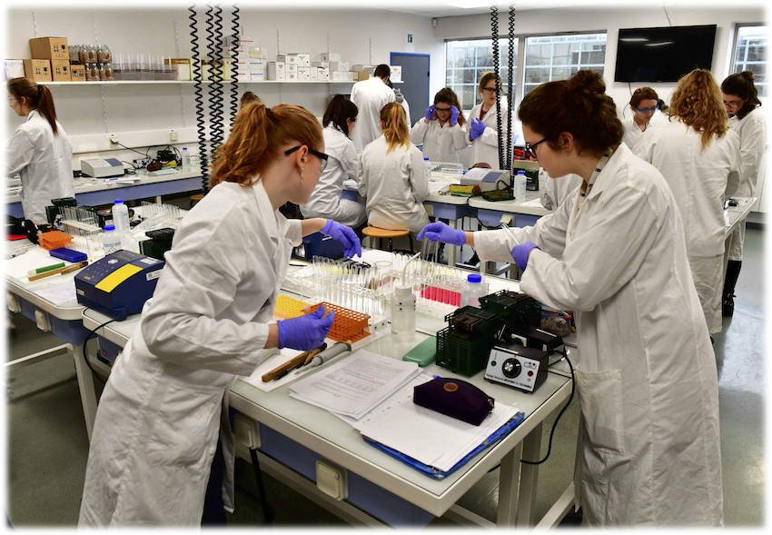 Master de Microbiologie – Plinius Cursus
