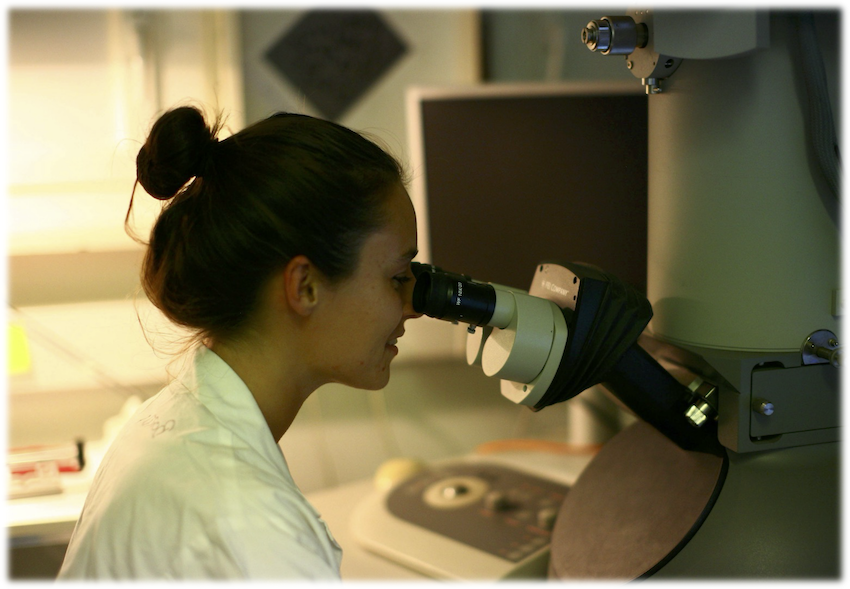 Master de Microbiologie – Plinius Cursus