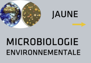 Master de Microbiologie – Plinius Cursus