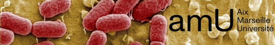 Master de Microbiologie – Plinius Cursus